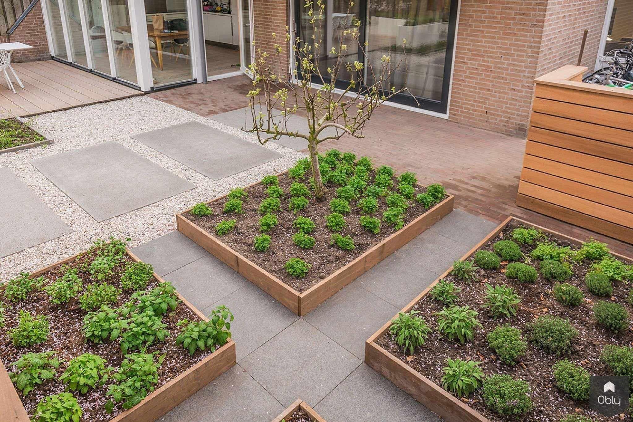 Grote tuin met moestuin